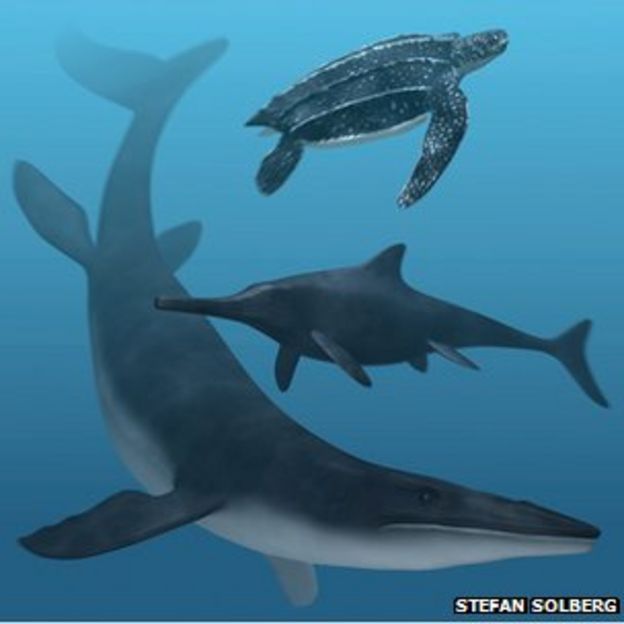 Colour of ancient sea creatures revealed - BBC News