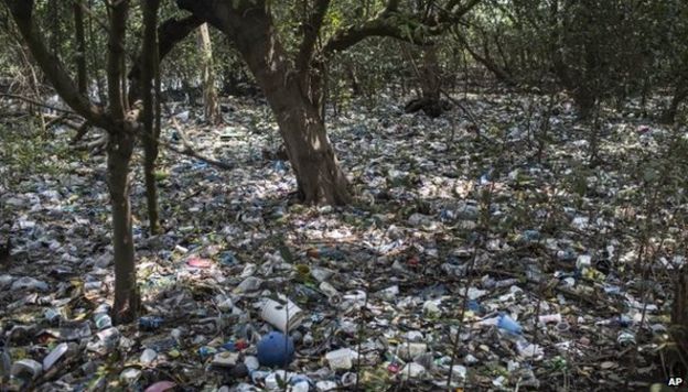 Rio's Olympic waters blighted by heavy pollution - BBC News