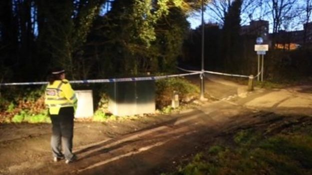 Fourth arrest over Crawley alley murder - BBC News