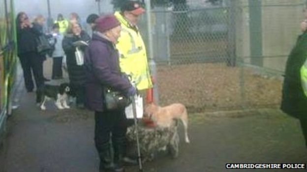 Cambridgeshire dog walkers patrol neighbourhood - BBC News
