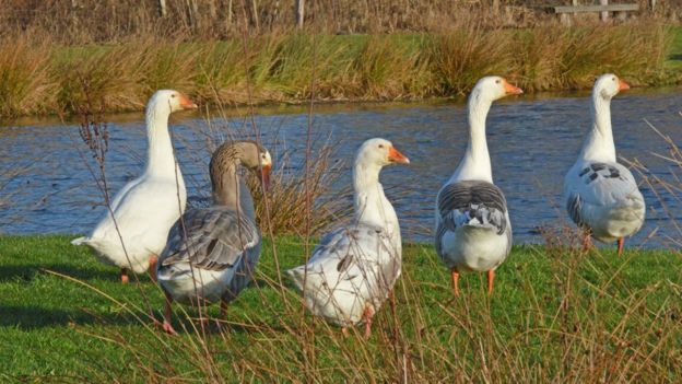 Your pictures of Scotland: 17- 24 January - BBC News