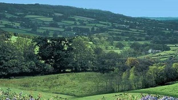 Study into A303 improvements begins - BBC News