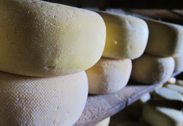 The rare art of cheese-making in DR Congo - BBC News