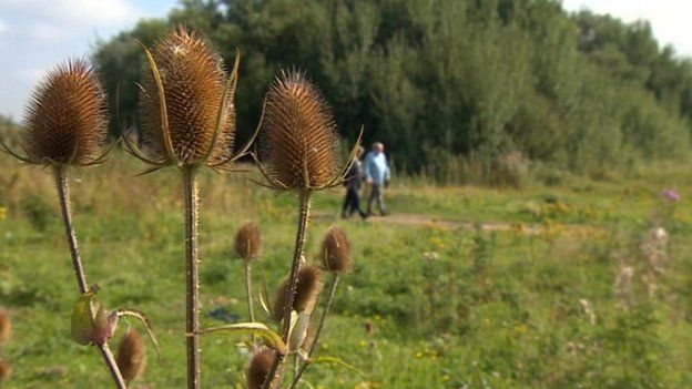 Gedling Colliery's country park transformation work starts - BBC News
