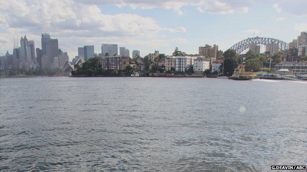 Sea wall 'eco-engineering' can help boost biodiversity - BBC News