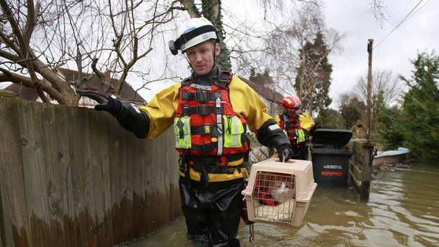 Animals rescued in flood hit areas - BBC Newsround