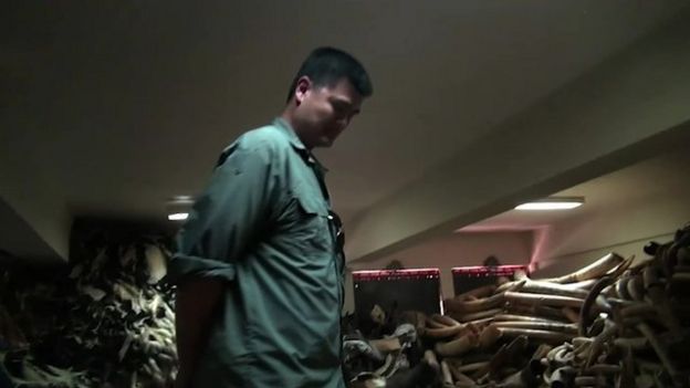 Jail for eaters of endangered wild animals in China - BBC News