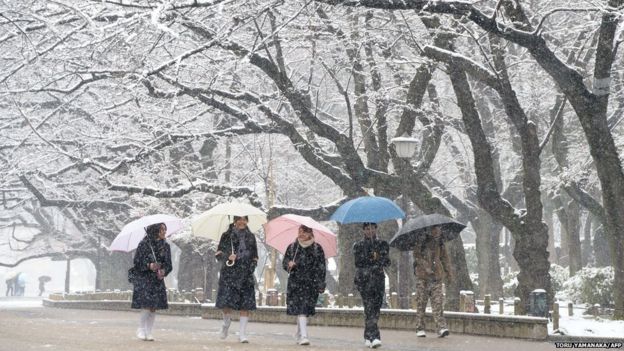 Day in pictures: 14 February 2014 - BBC News