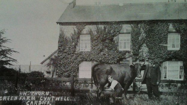 How Land Girls helped feed Britain to victory in WW1 - BBC News