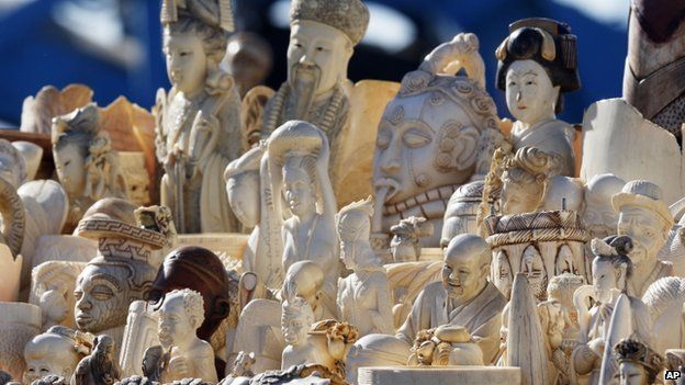 Letter from Africa: Elephant in the room - BBC News