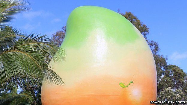 Giant mango theft in Australia was a stunt! - BBC Newsround