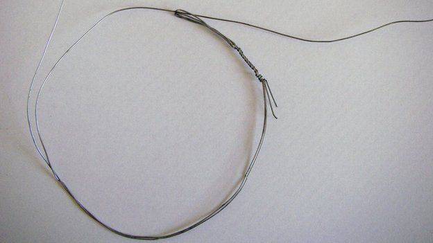 Cats caught in homemade snares at St Athan, RSPCA warns - BBC News