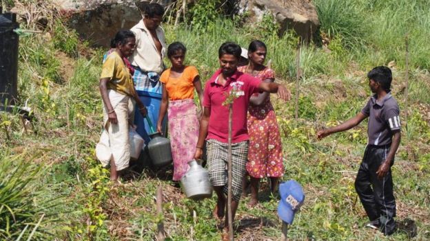 In pictures: Sri Lanka drought hits harvests - BBC News
