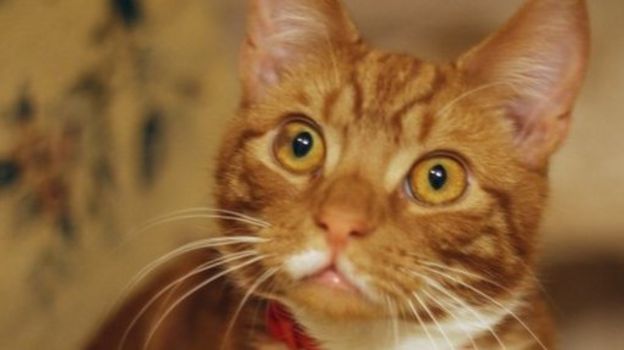 Winston Churchill's Tonypandy riots memo up for auction - BBC News