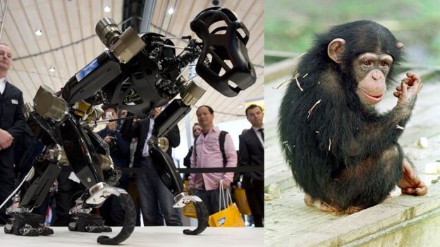 Amazing animal animatronics - BBC Newsround