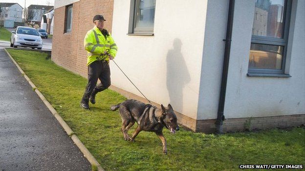 Police mount hunt after search dog goes on the run - BBC News