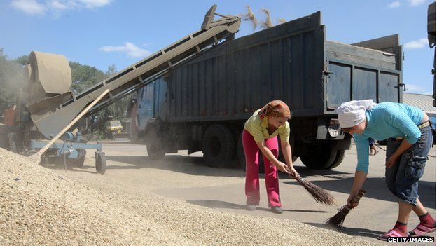 Wheat prices rise on Crimea and Ukraine worries - BBC News