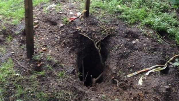 Norfolk badger colony damage costs council £35,000 to repair - BBC News