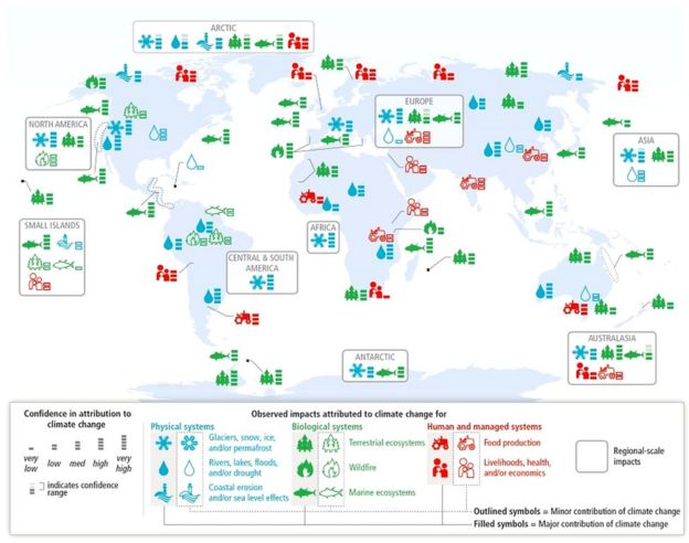 Climate impacts report: Key findings - BBC News