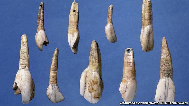 Great Orme Ice Age horse bone art returns to Llandudno - BBC News