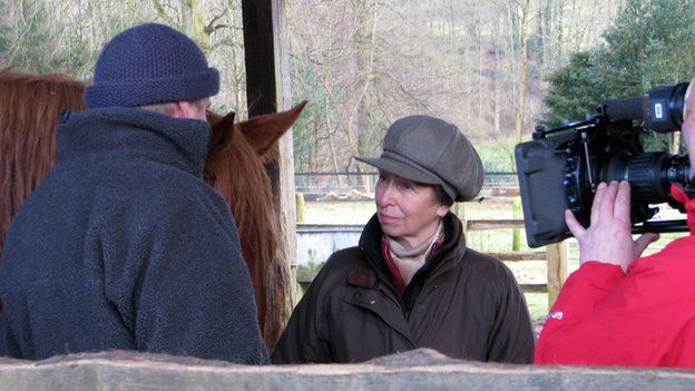 Princess Anne: Gassing badgers is most humane way to cull - BBC News