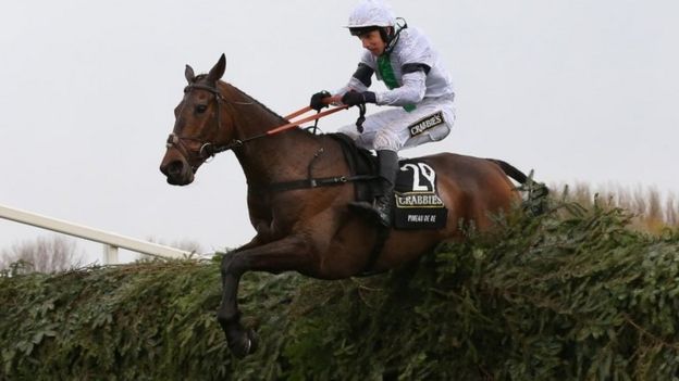 Grand National 2014: Pineau De Re wins Aintree race at 25-1 - BBC Sport