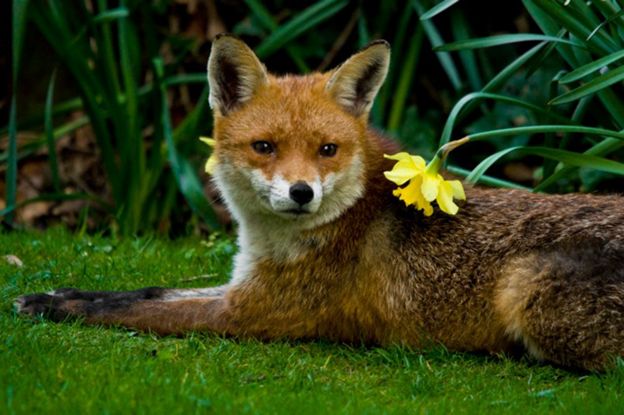 Your pictures of Scotland: 4 - 11 April - BBC News