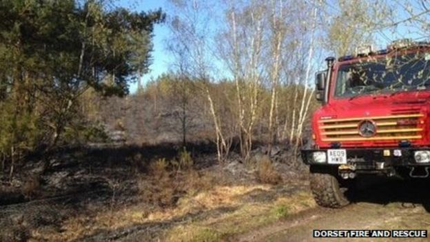 Moors Valley Country Park heath fire 'deliberate' - BBC News