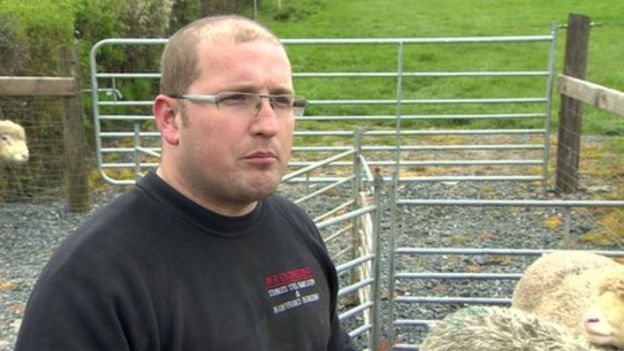 'Horrific' sheep attacks almost double in Northern Ireland - BBC News