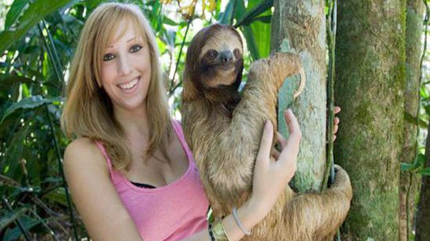 How sloths breathe upside down explained by scientists - BBC News