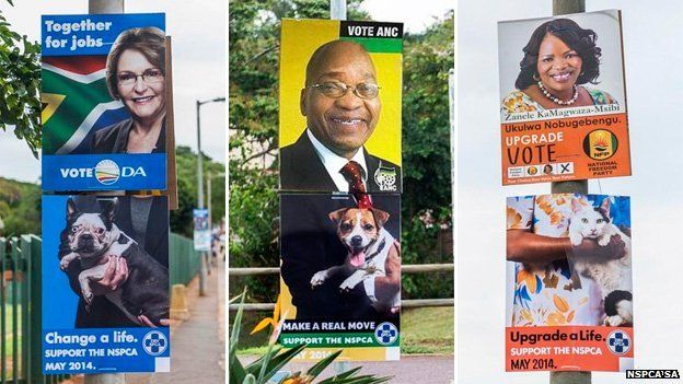 South Africa: Poll ads turn candidates into pet-lovers - BBC News