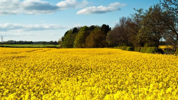 Your May Day weather pictures - BBC Weather