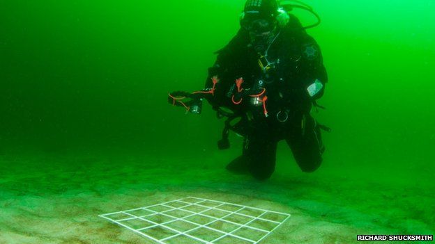 Into the deep: How Scottish students became underwater explorers - BBC News