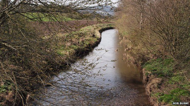 Warning after pollution leaks into River Farg and Earn - BBC News