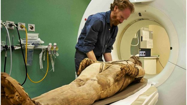 Egypt's animal mummy 'scandal' revealed - BBC News