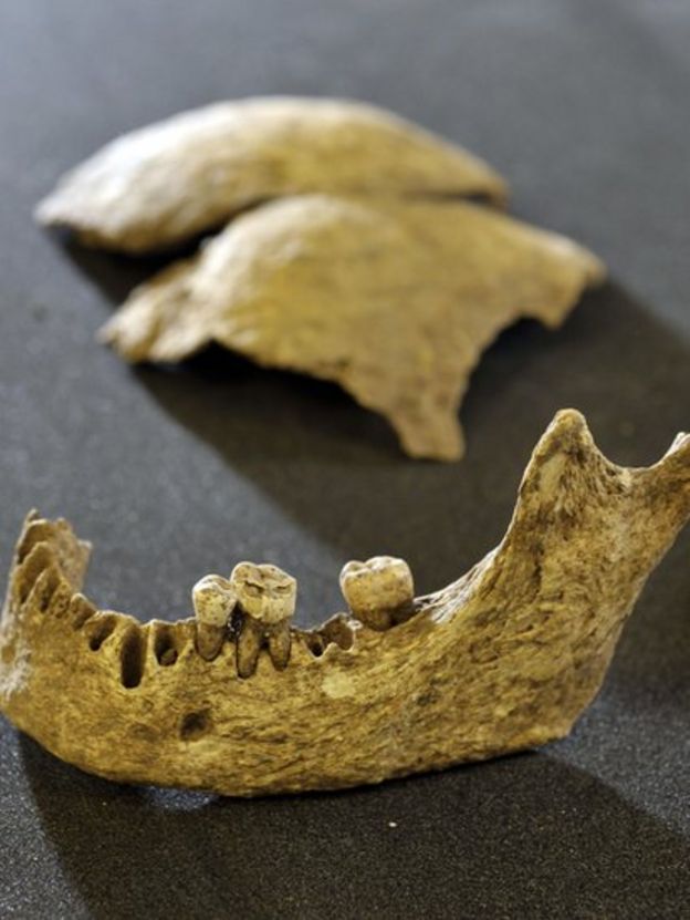 East Lothian skeleton may be 10th Century Irish Viking king - BBC News