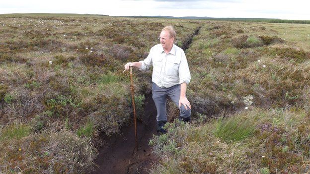 SSE says Strathy South project will restore peat bog - BBC News