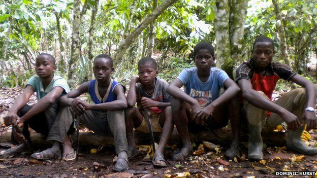 World's forced labour laws to be tightened, says ILO - BBC News