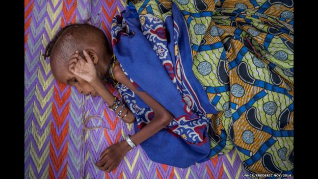 In pictures: Refugee stories - BBC News