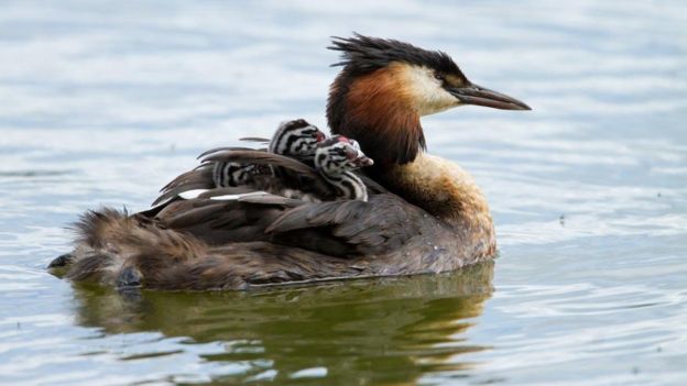 Your pictures of Scotland: 20 - 27 June - BBC News
