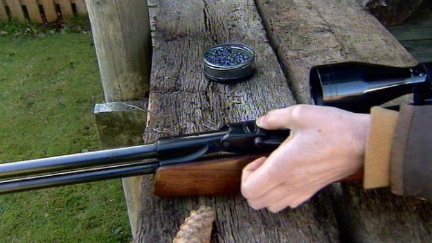 Airgun law change 'could affect thousands' - BBC News