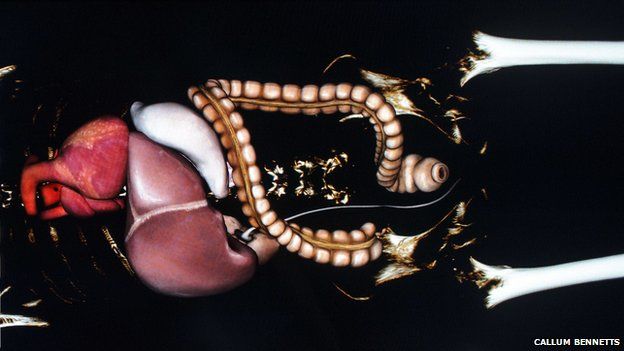 Anatomy students work on life-size virtual cadaver at University of ...