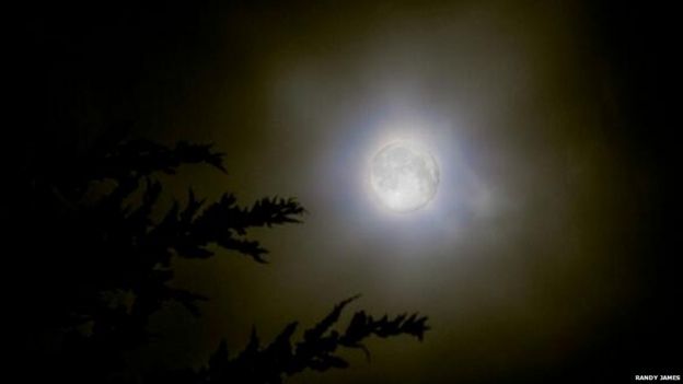 Supermoon: Your pictures of the perigee Moon - BBC News