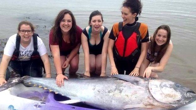 Rare blue fin tuna fish found by kayakers off Cornwall - BBC Newsround