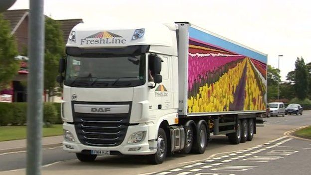 Lorry art to showcase Boston and South Holland areas - BBC News