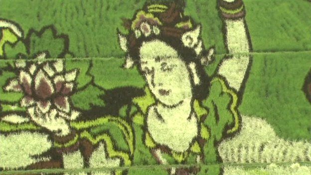 Rice fields turned into giant cat art by Thai farmer - BBC Newsround