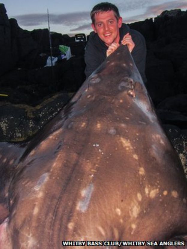 Whitby man lands potential record biggest fish on Skye - BBC News