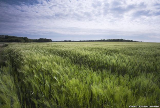 In pictures: World War One battlefields 100 years on - BBC News