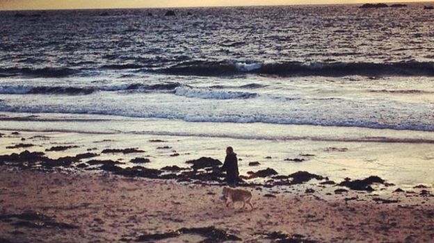 Jersey dog mess campaign targets ten areas - BBC News