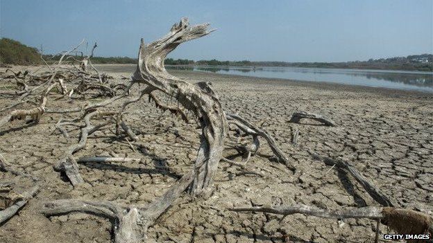 Colombia drought triggers clashes in La Guajira province - BBC News